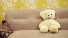 How To Get Rid Of Dust Mites In Stuffed Animals